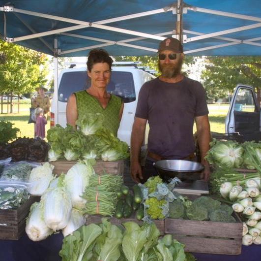 Old Mill Road BioFarm - SAGE Project, SAGE Farmers Market & Stepping Stone Farm