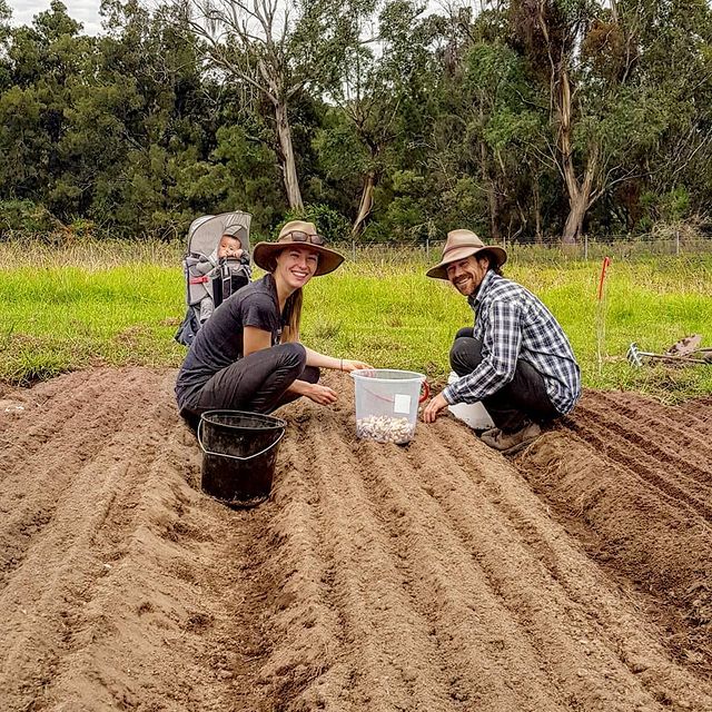Stepping Stone Farm - Overview - SAGE Project, SAGE Farmers Market ...