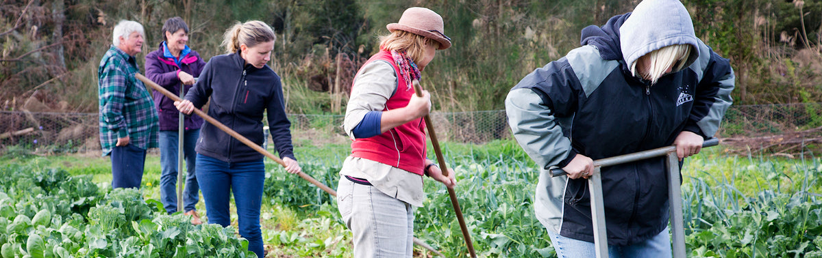 SAGE - Food Share - SAGE Project, SAGE Farmers Market & Stepping Stone Farm