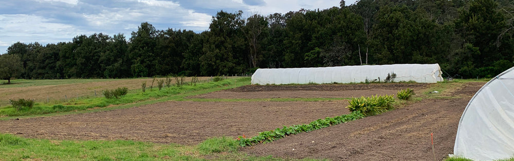 Co-Farming Opportunity - SAGE Project, SAGE Farmers Market & Stepping ...